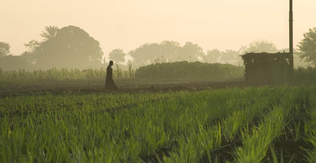 Power-to-X - Africa: Many countries are planning projects for hydrogen ...